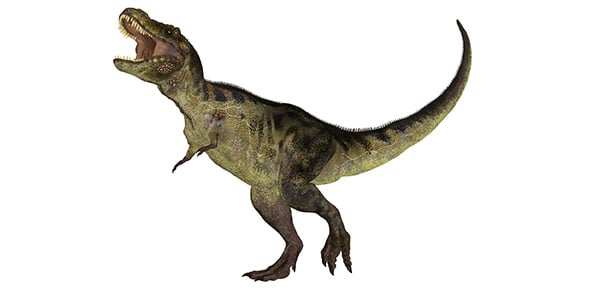 10th Grade Dinosaur Quizzes with Question & Answers