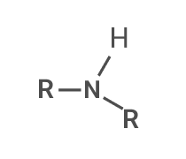 12th Grade Amines Quizzes with Question & Answers