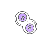 Biology- Cell Division Quiz - Quiz & Trivia