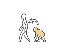 4 Human Evolution Quizzes with Question & Answers