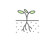 5+4th Grade Plant Anatomy Quizzes with Question & Answers