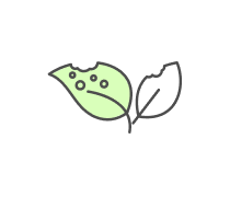 11th Grade Plant Pathology Quizzes with Question & Answers