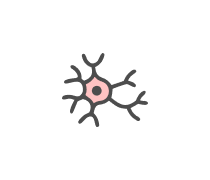 5+ Biological Psychology Quizzes with Question & Answers